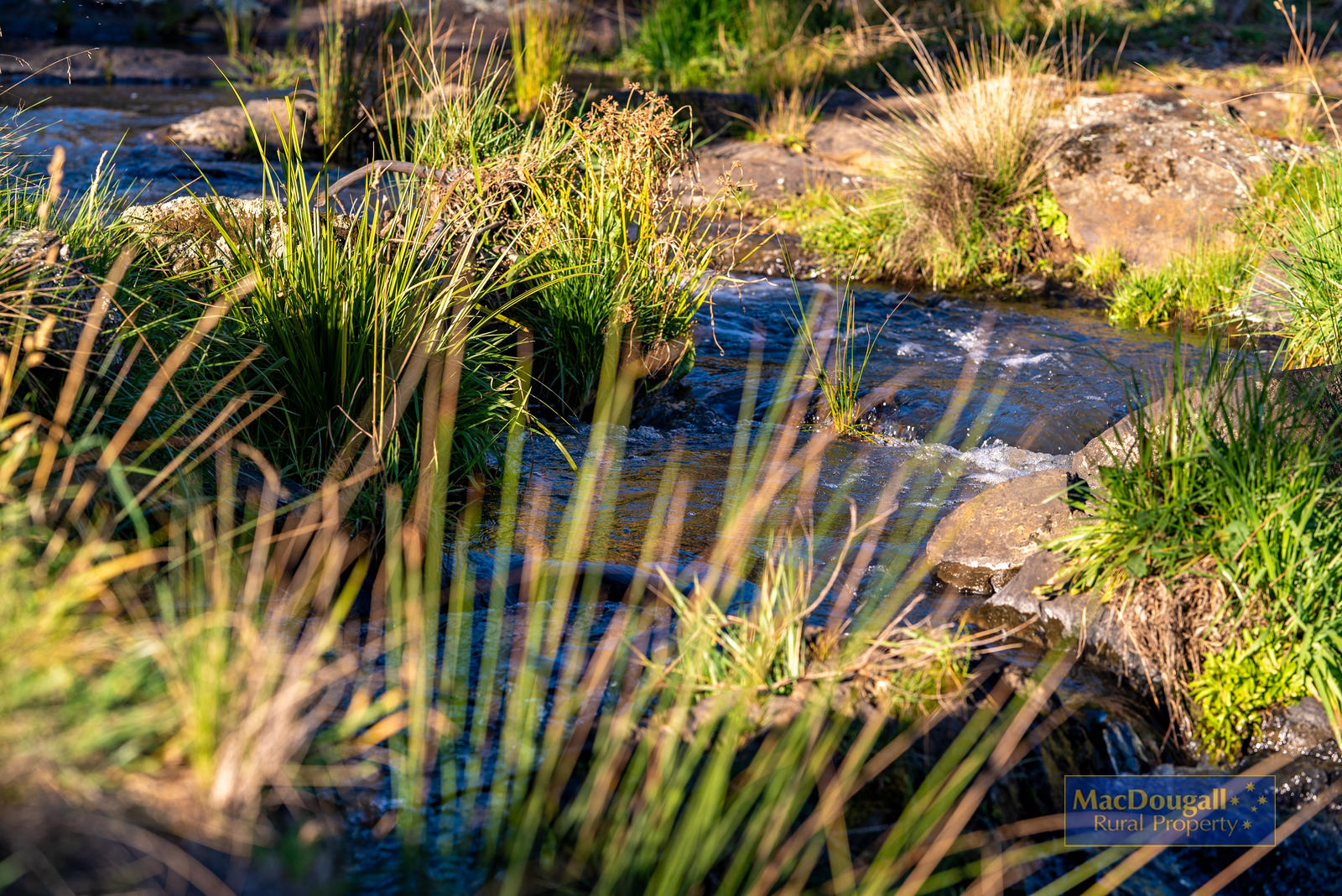 "Balnagowan" - MacDougall Rural Property
