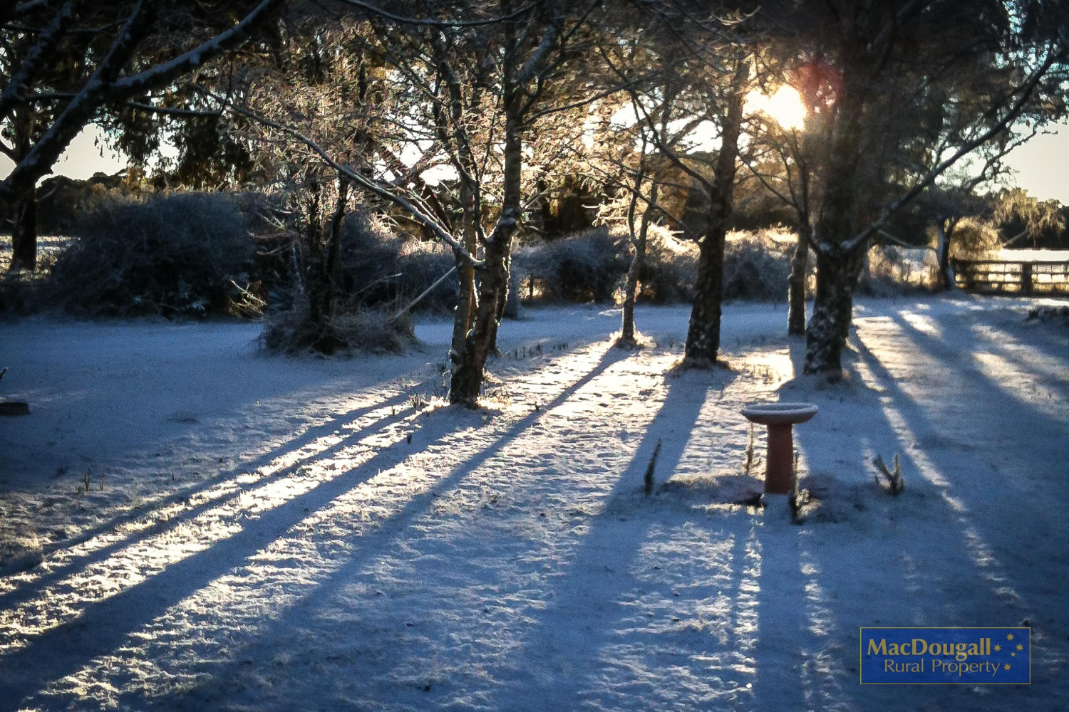 "Copnor" - MacDougall Rural Property