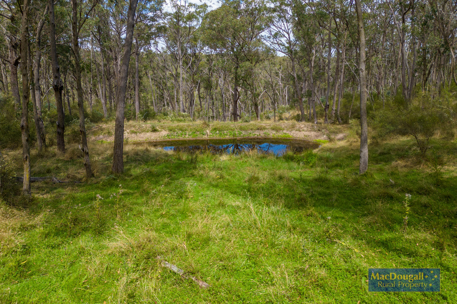 "Copnor" - MacDougall Rural Property