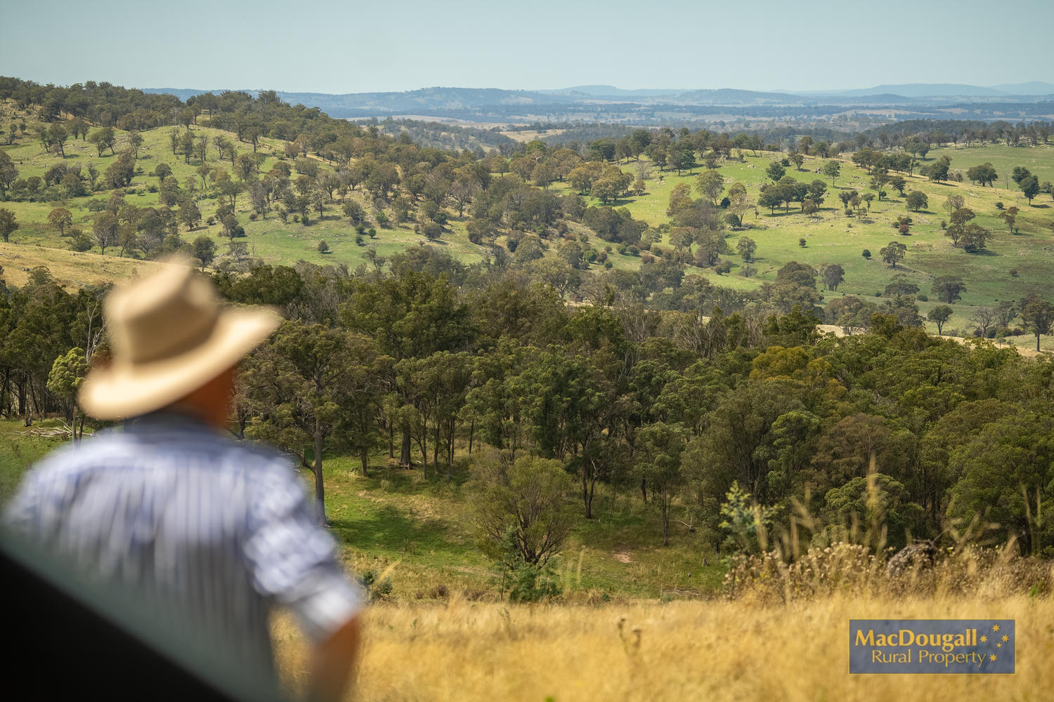 "Copnor" - MacDougall Rural Property
