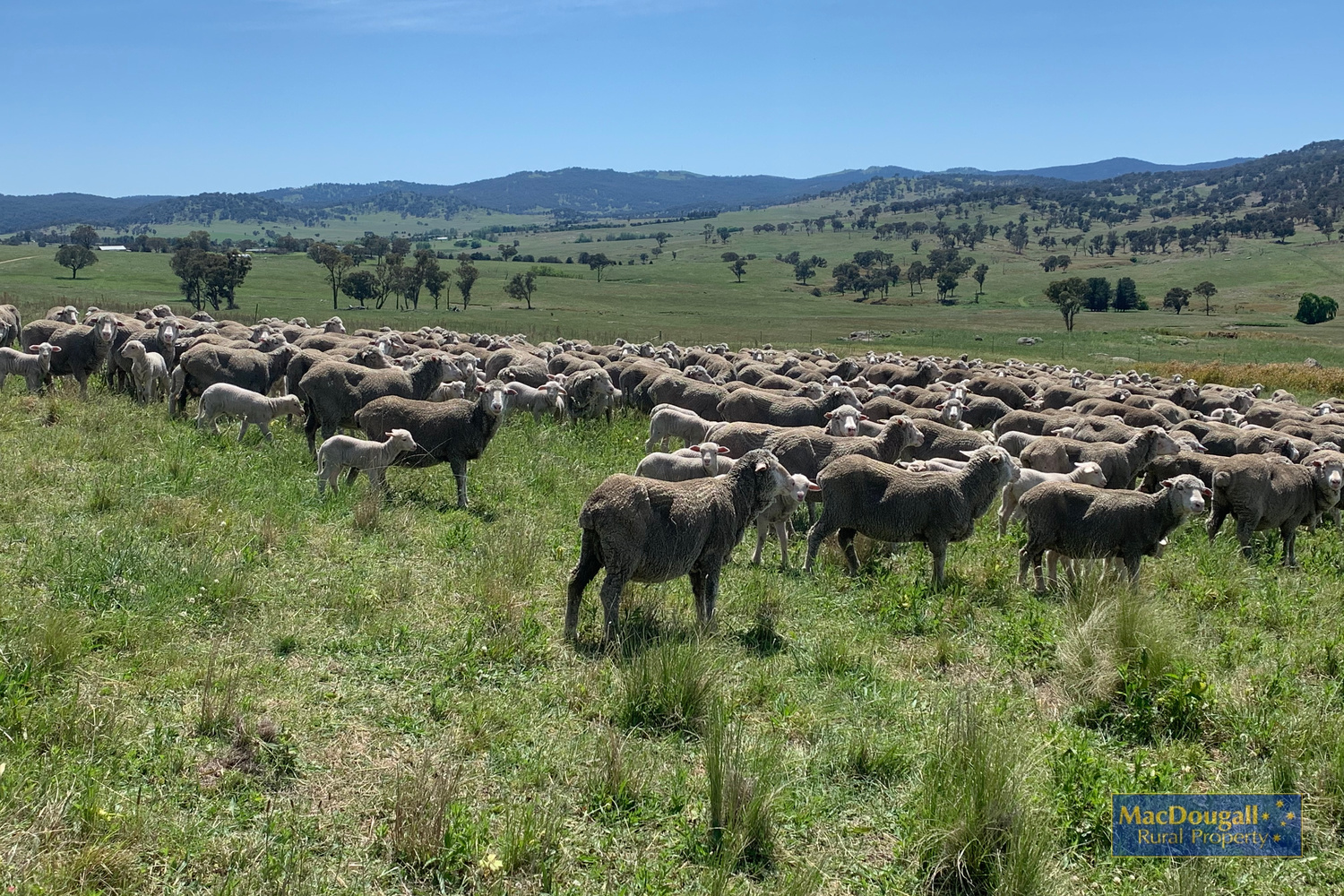 "Inverinate" - MacDougall Rural Property
