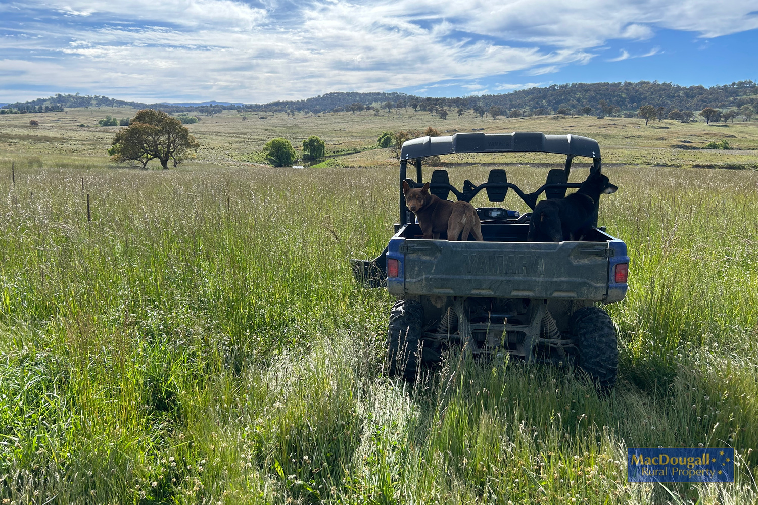 "Inverinate" - MacDougall Rural Property