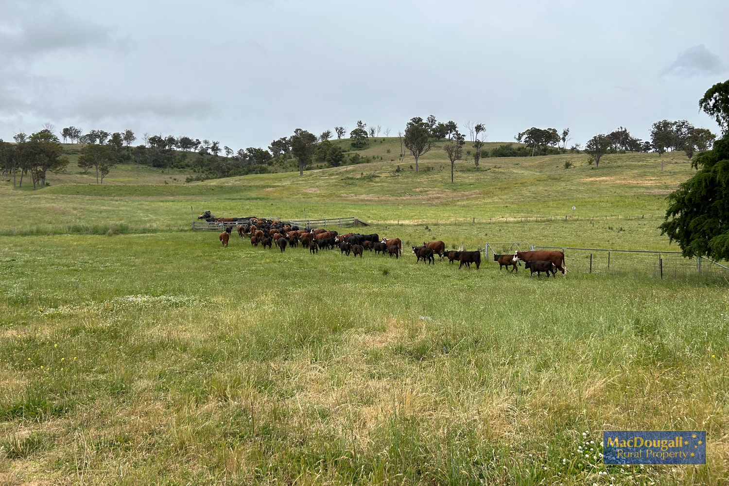 "Inverinate" - MacDougall Rural Property