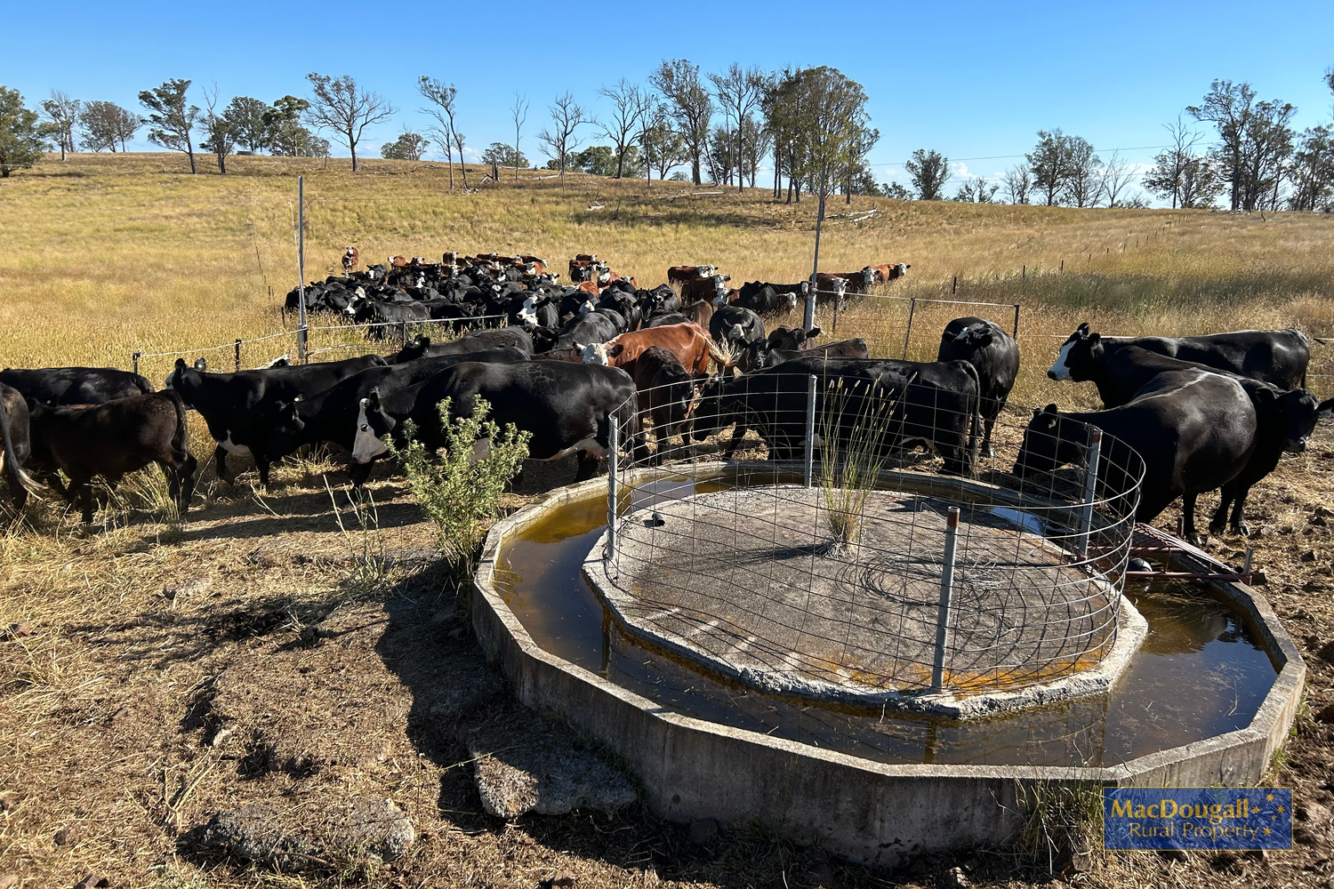 "Inverinate" - MacDougall Rural Property