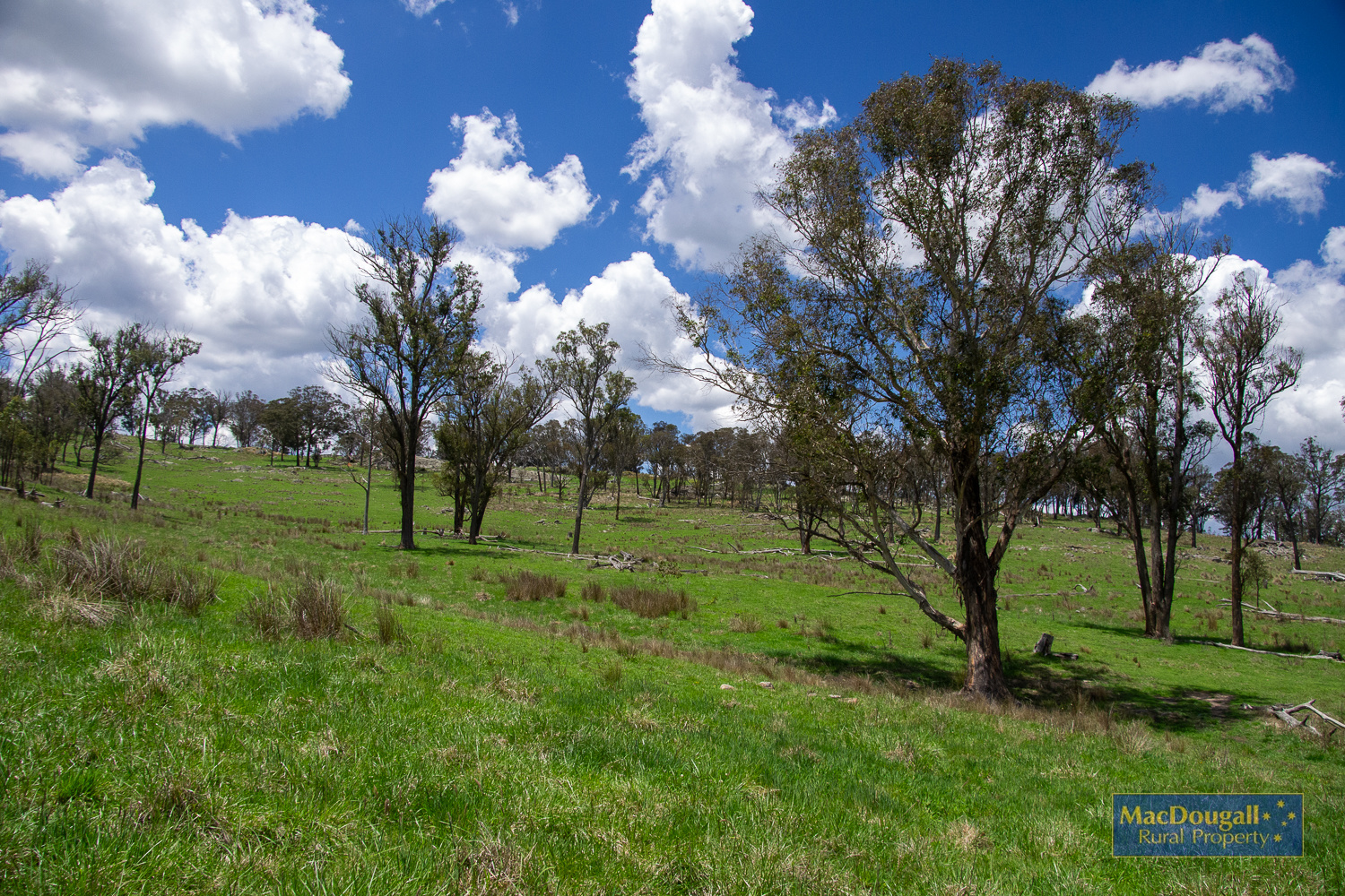 "Inverinate" - MacDougall Rural Property