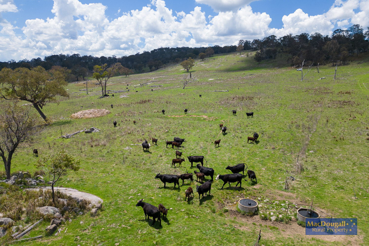 "Inverinate" - MacDougall Rural Property