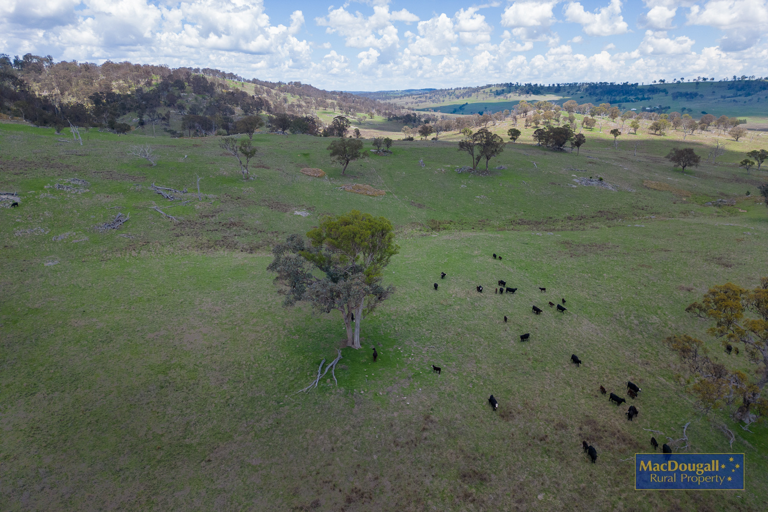 "Inverinate" - MacDougall Rural Property