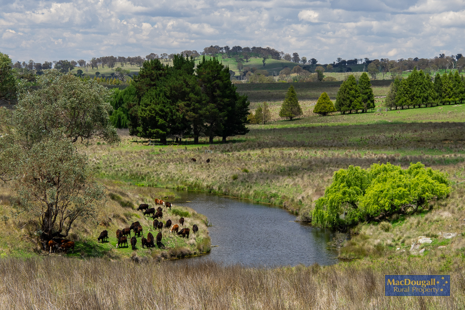 "Inverinate" - MacDougall Rural Property