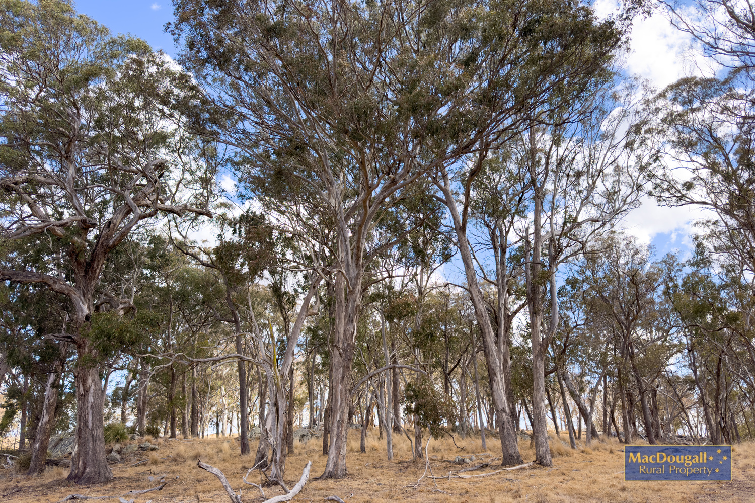 "Inverinate" - MacDougall Rural Property